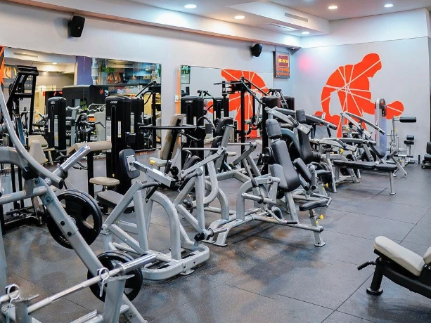 باشگاه رودی فیتنس کلاب - سایت بدنسازی